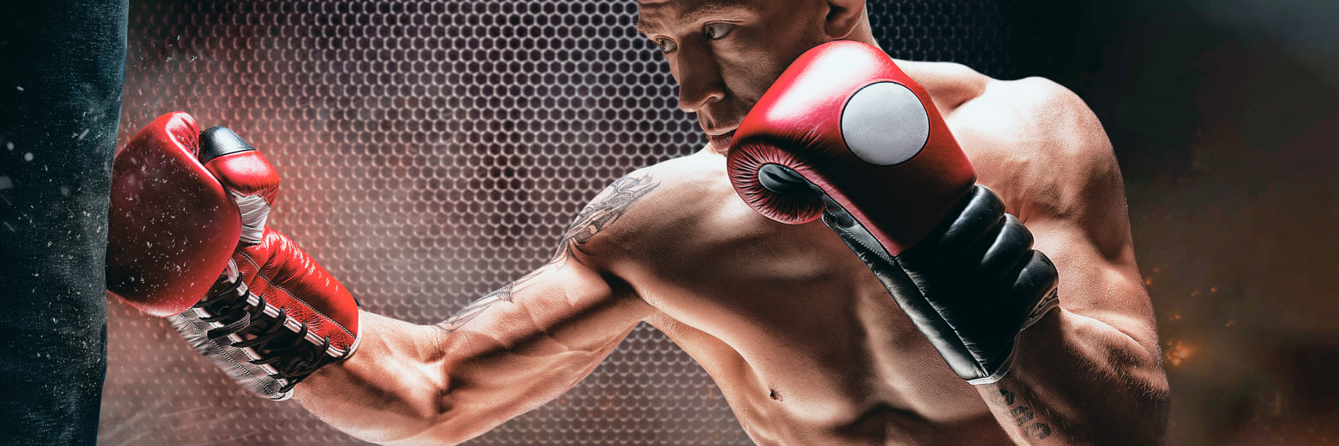 Nutrition For Boxers 101 | MAXLER